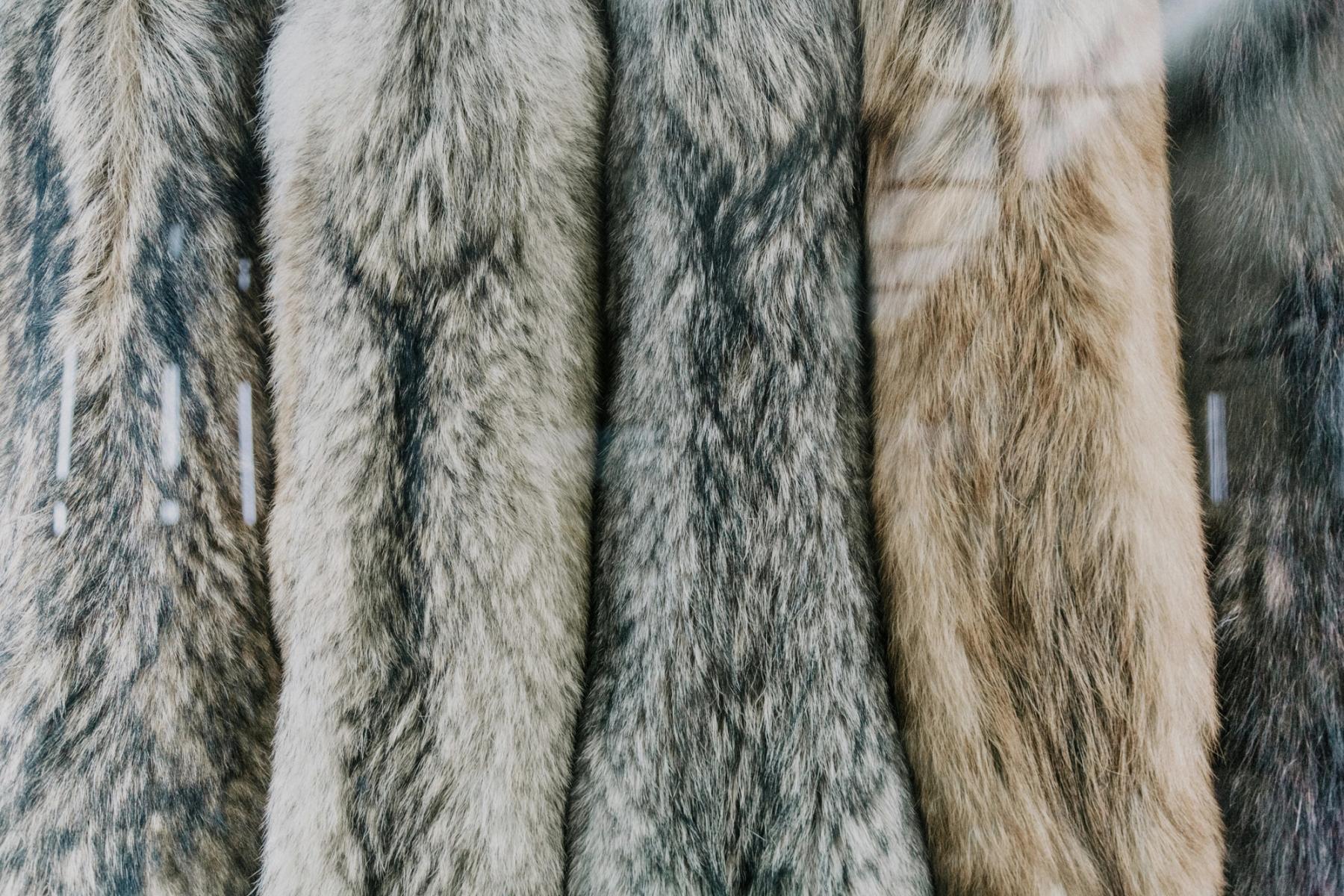 A full-cost account of the EU fur industry – Griffin Carpenter