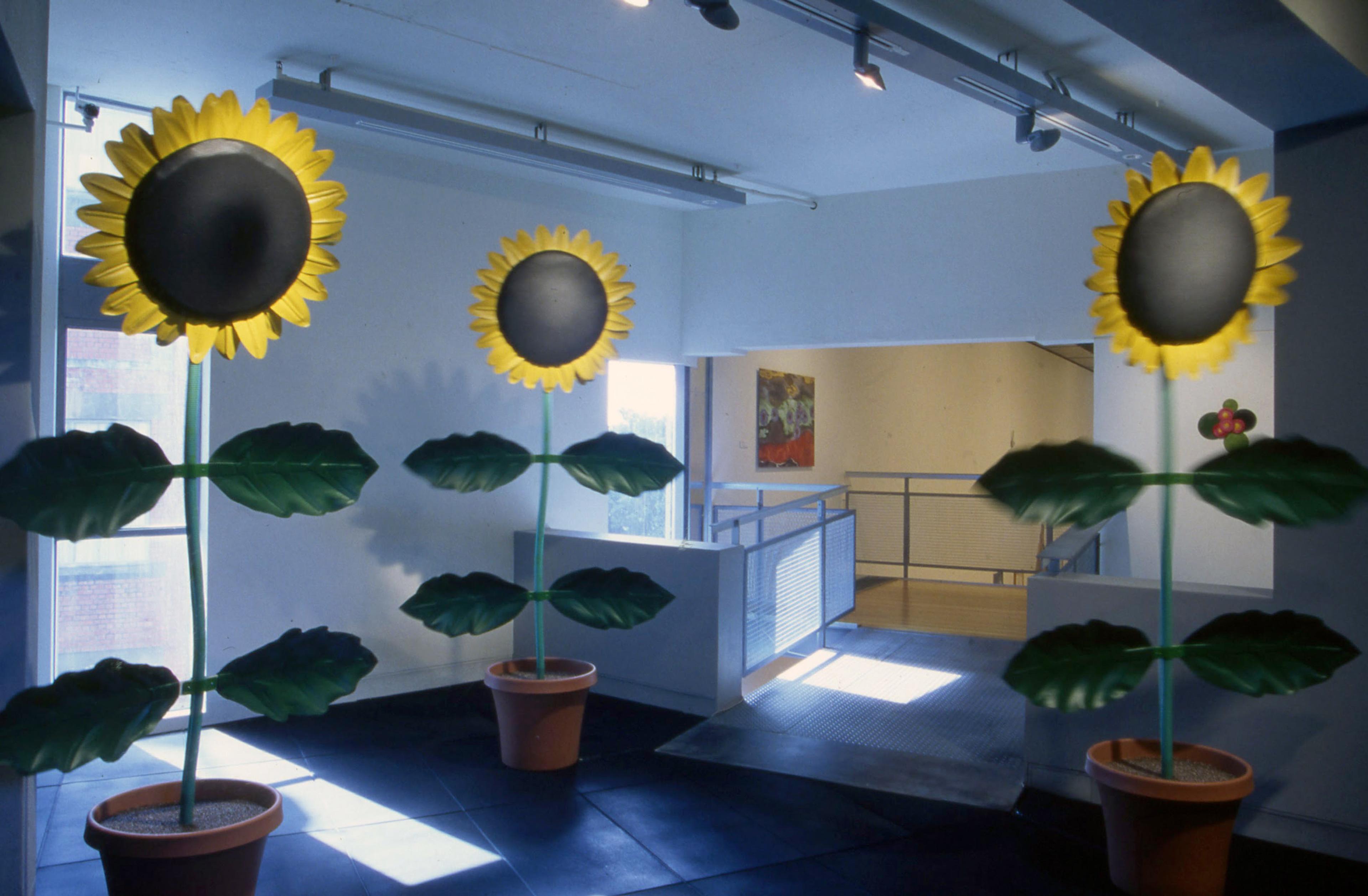 Te Pātaka Toi Adam Art Gallery — Image Gallery — Botanica