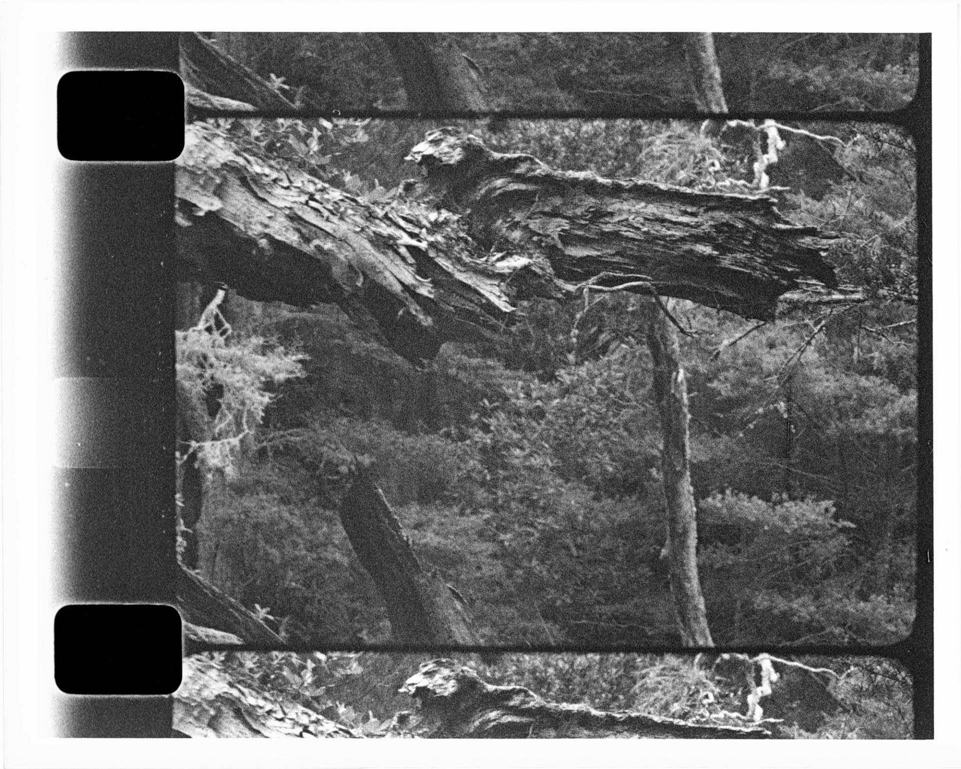 Te Pātaka Toi Adam Art Gallery — Image Gallery — Folded Memory
