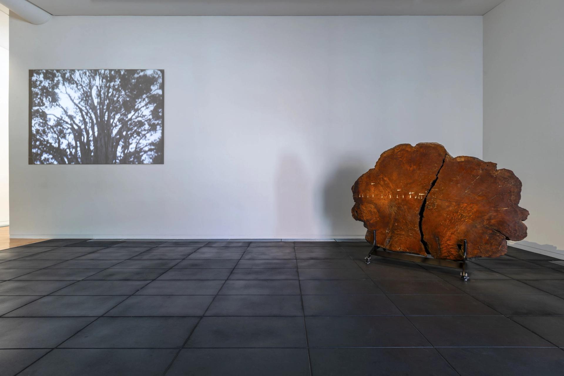 Te Pātaka Toi Adam Art Gallery — Image Gallery — Folded Memory