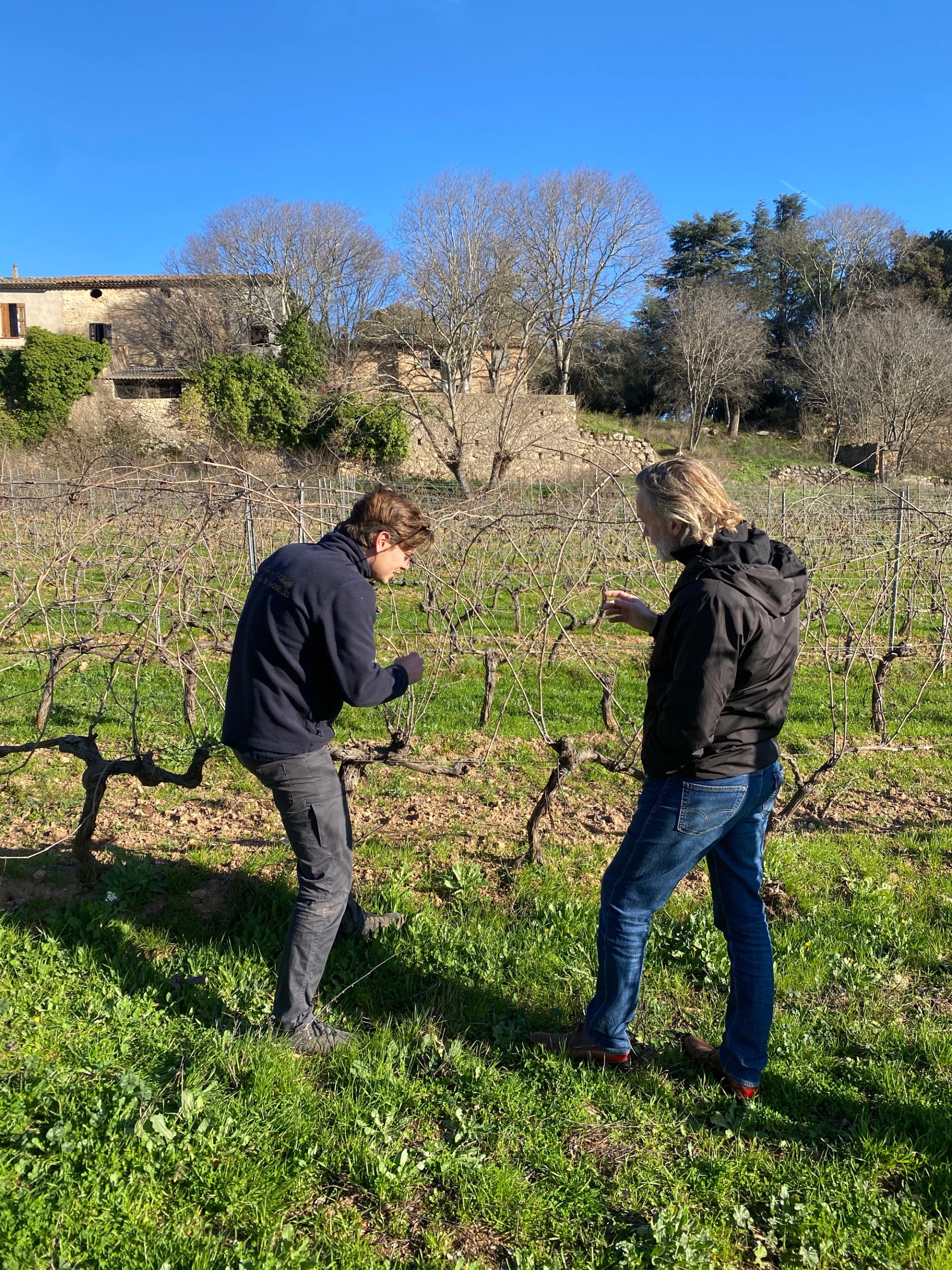 Introducing the Marcus Special Edition Rose by Château Sainte Roseline ...