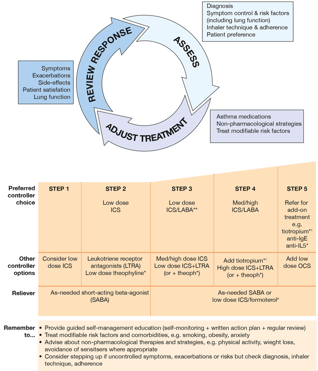 Global strategy for asthma management and prevention, GINA 2017