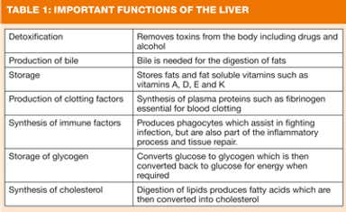 Understanding blood results: Liver function test