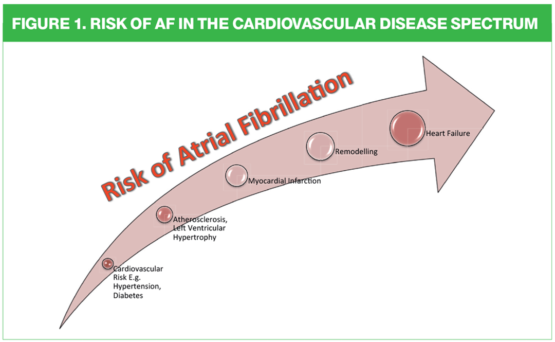 Anticoagulation in atrial fibrillation: where are we now?