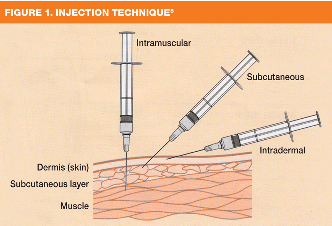 Safe administration of parenteral medications: Routine injections in ...