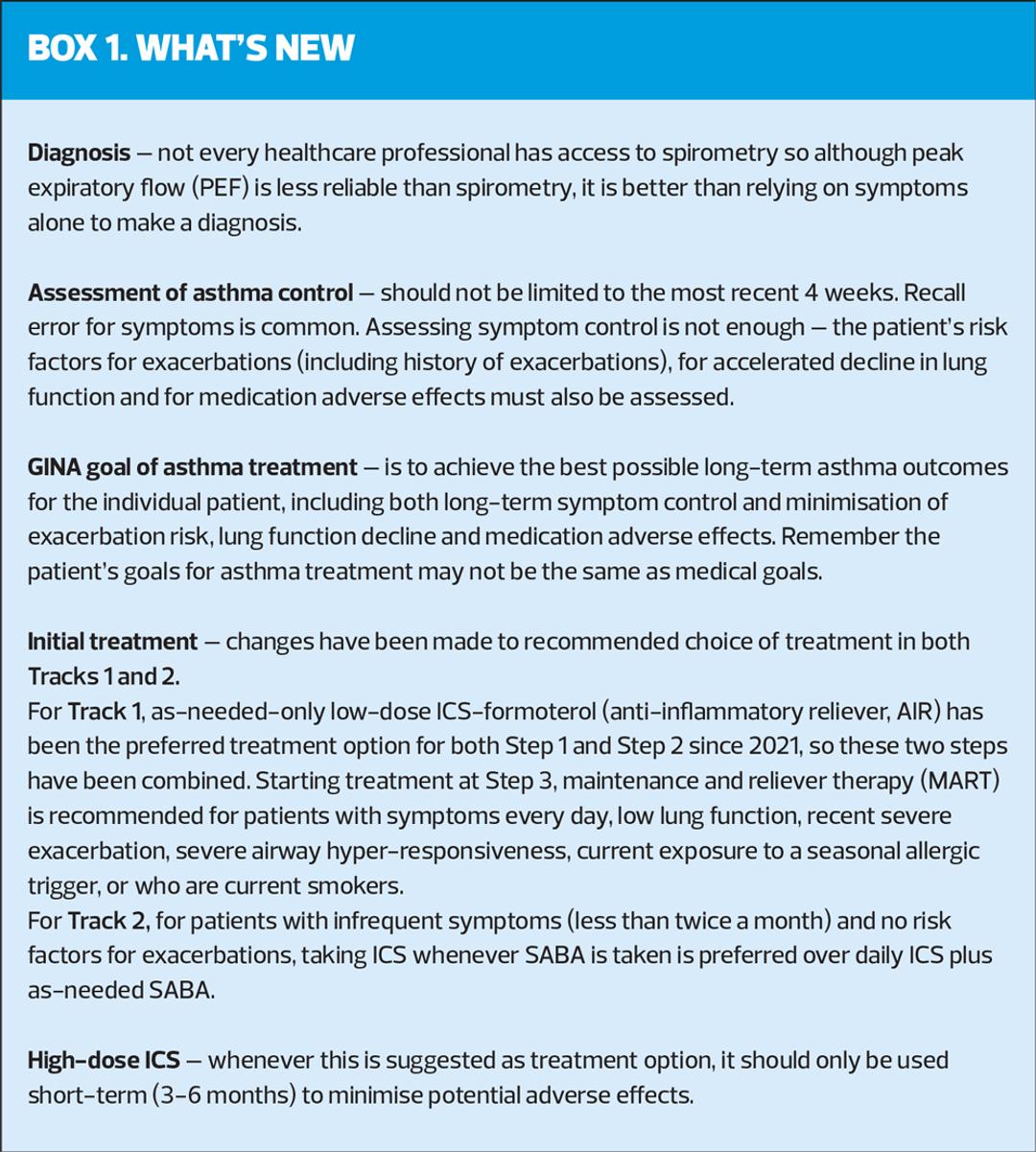 Guidelines in a Nutshell: GINA 2024 How to improve long-term outcomes ...