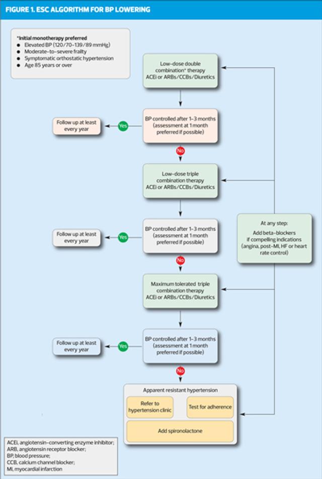 ESC hypertension guidelines 2024: Guideline in a Nutshell