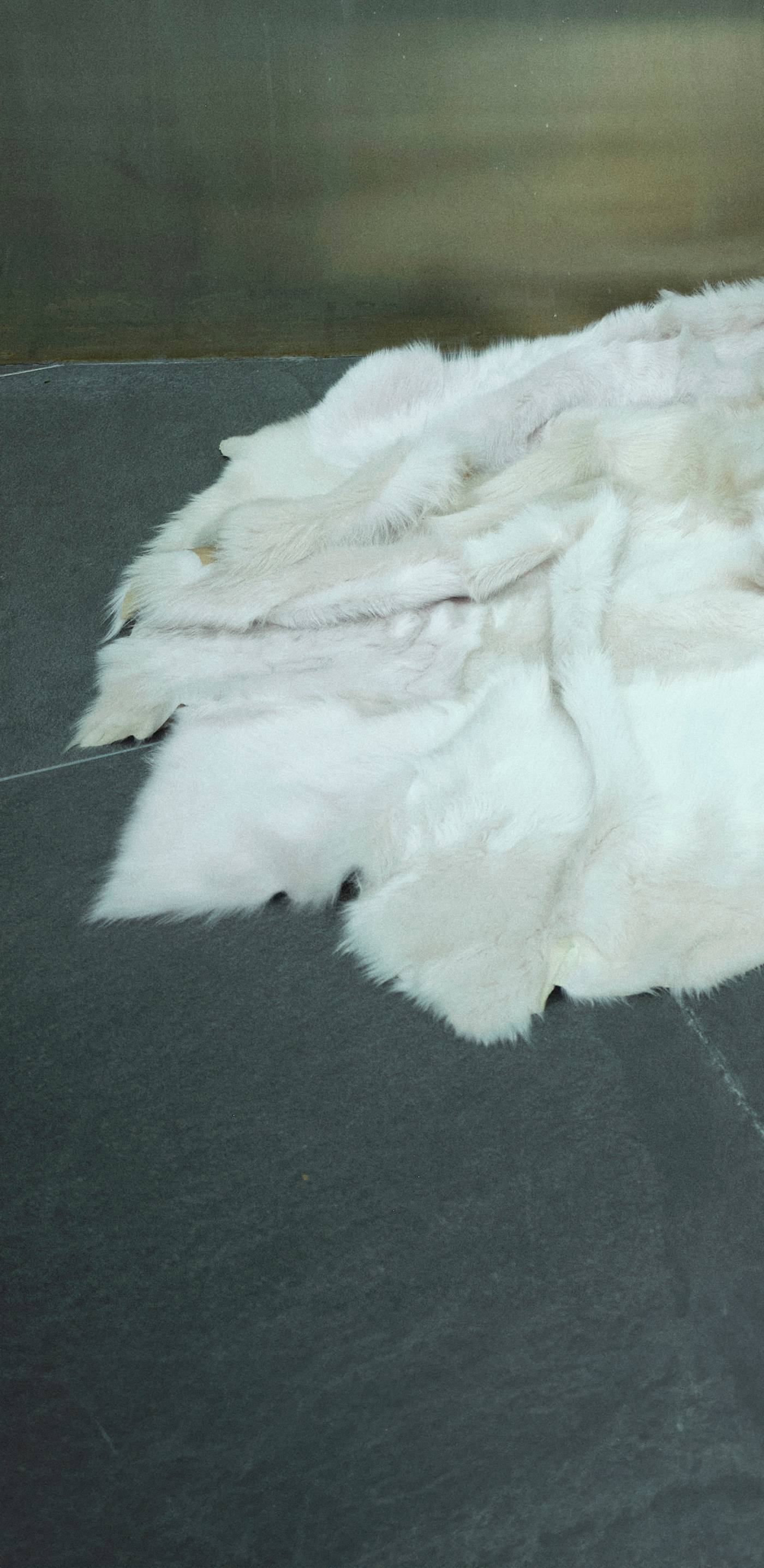 Official Website - Nour Hammour