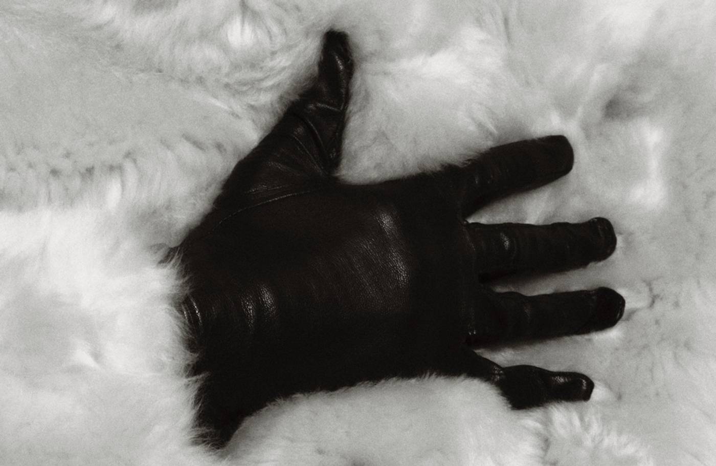 Shop All - Nour Hammour