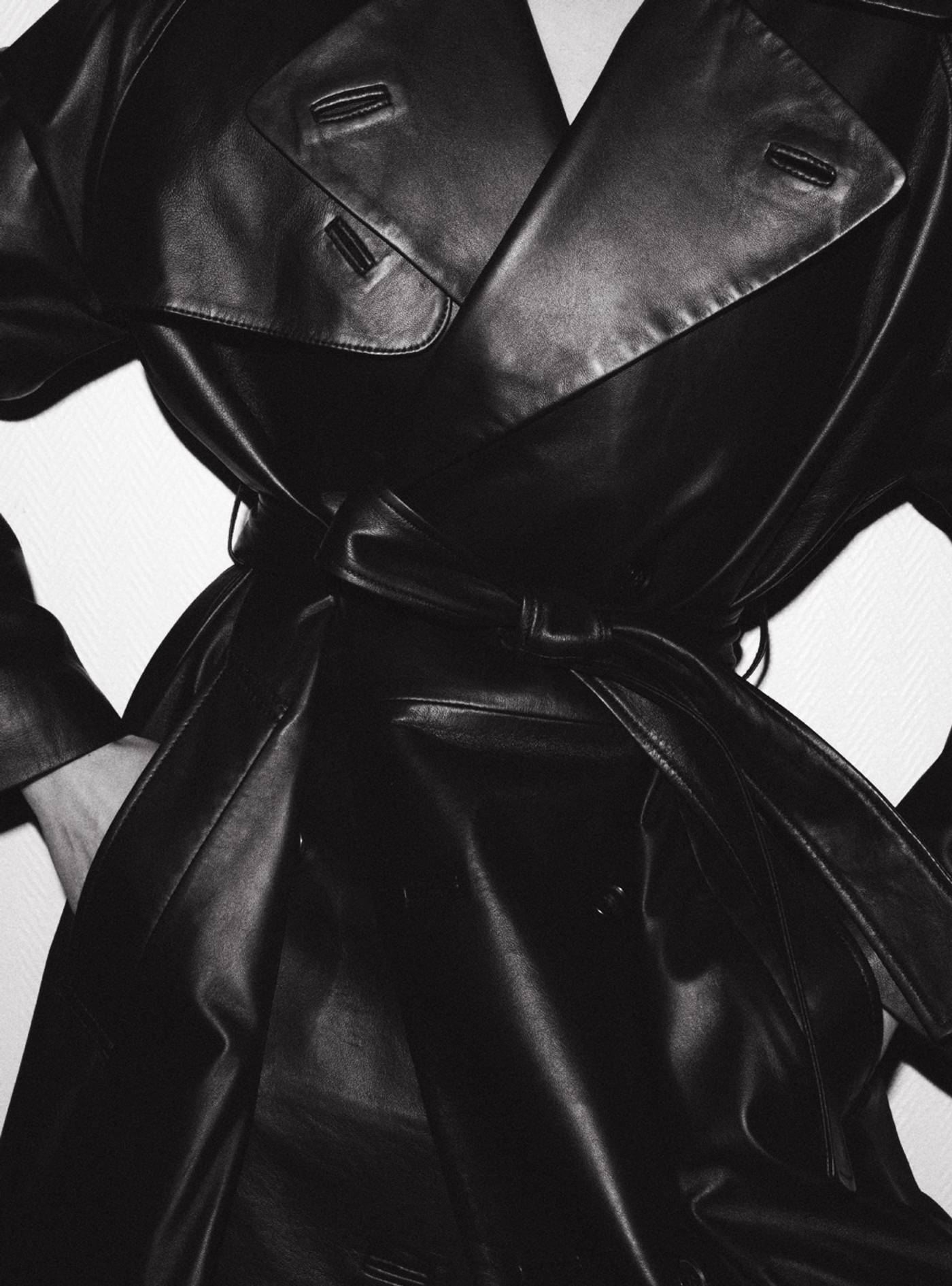 About - Nour Hammour