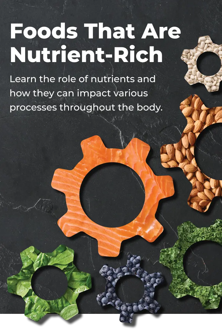 Hy-Vee Custom Catering | Made To Order Trays, Platters and Meals