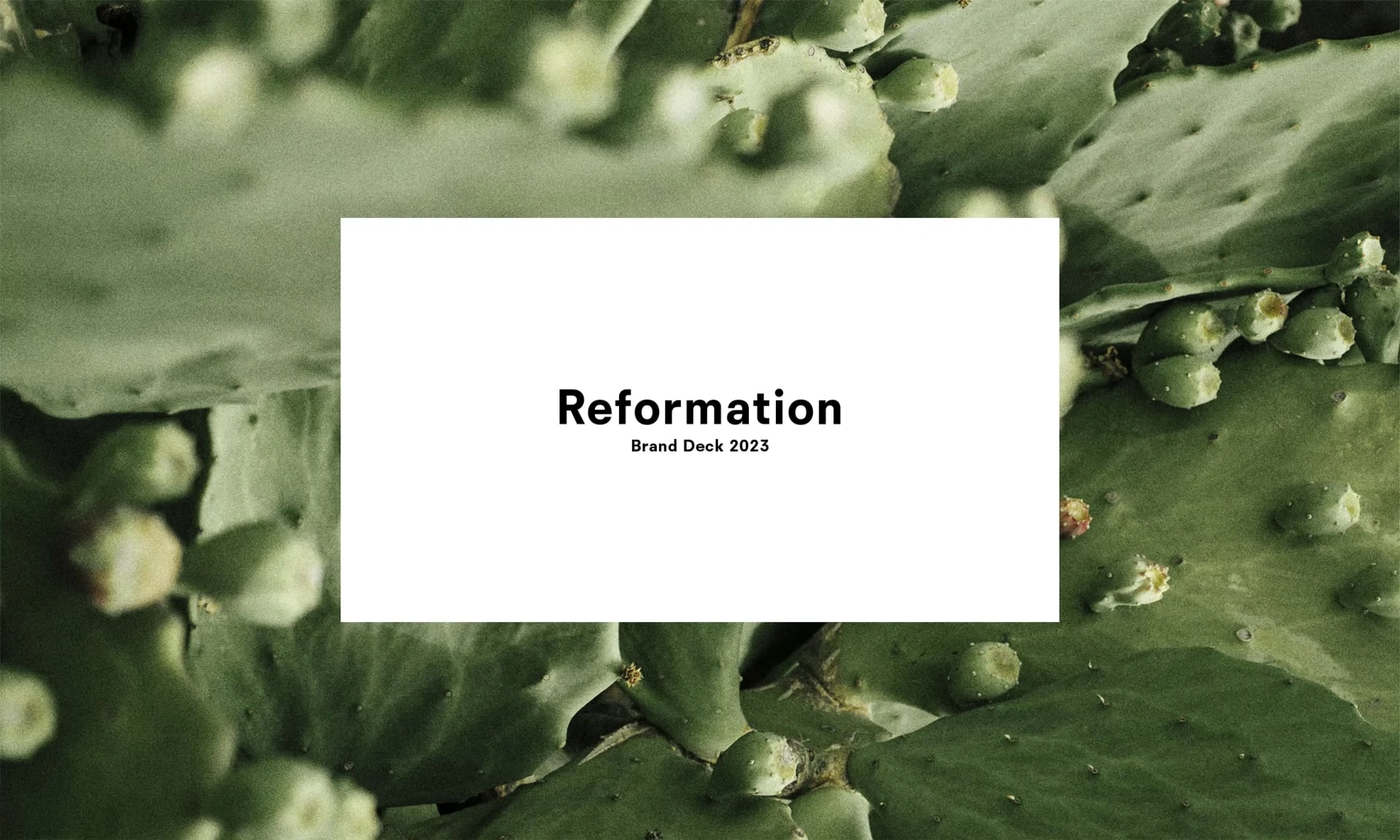 Reformation