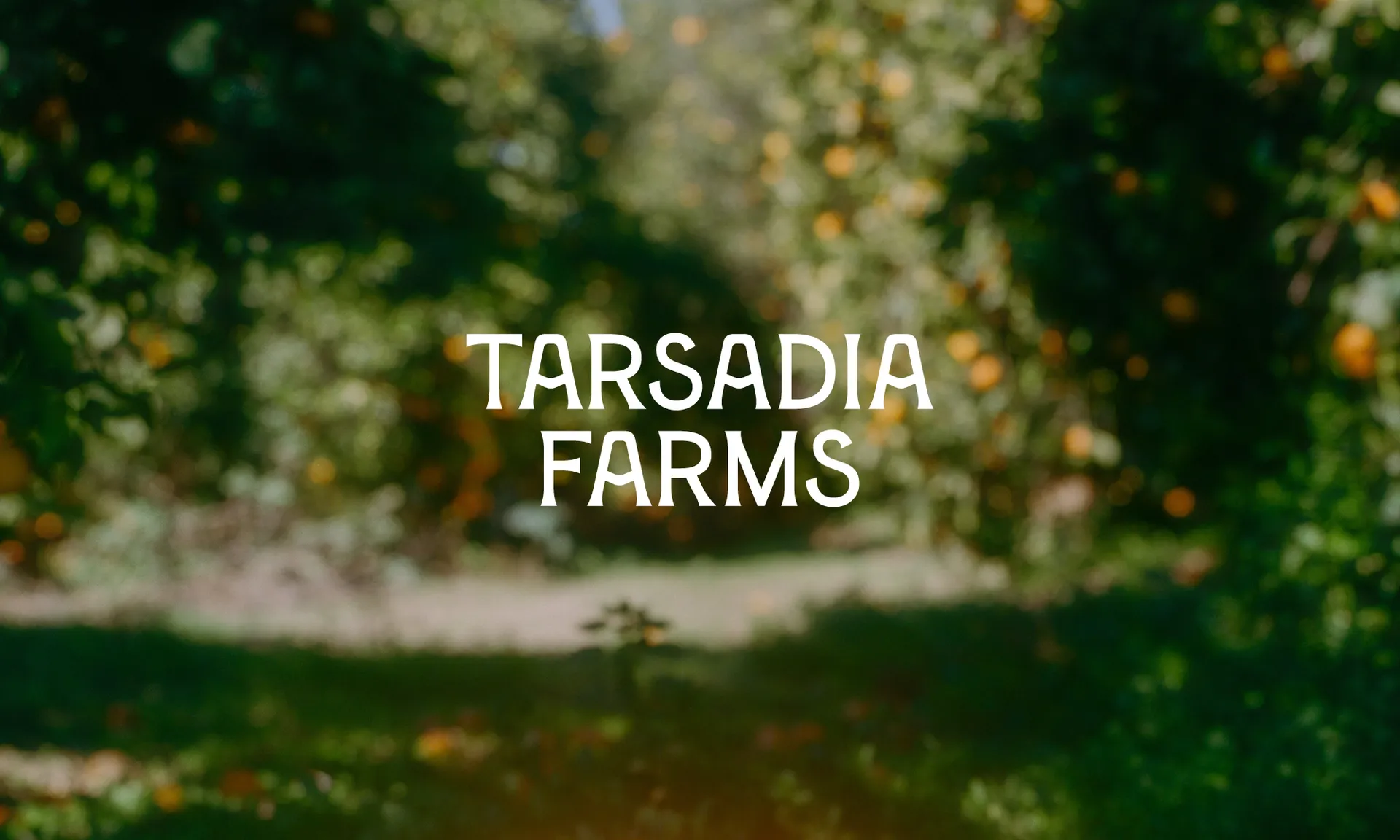 Tarsadia