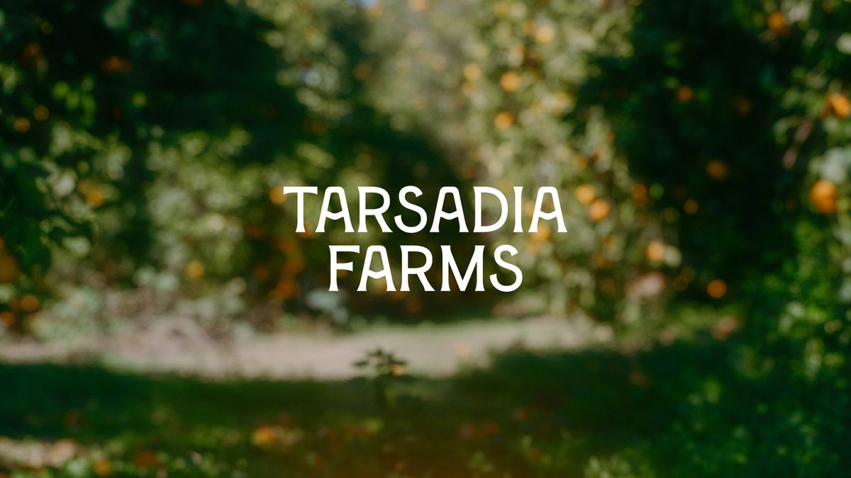 Tarsadia