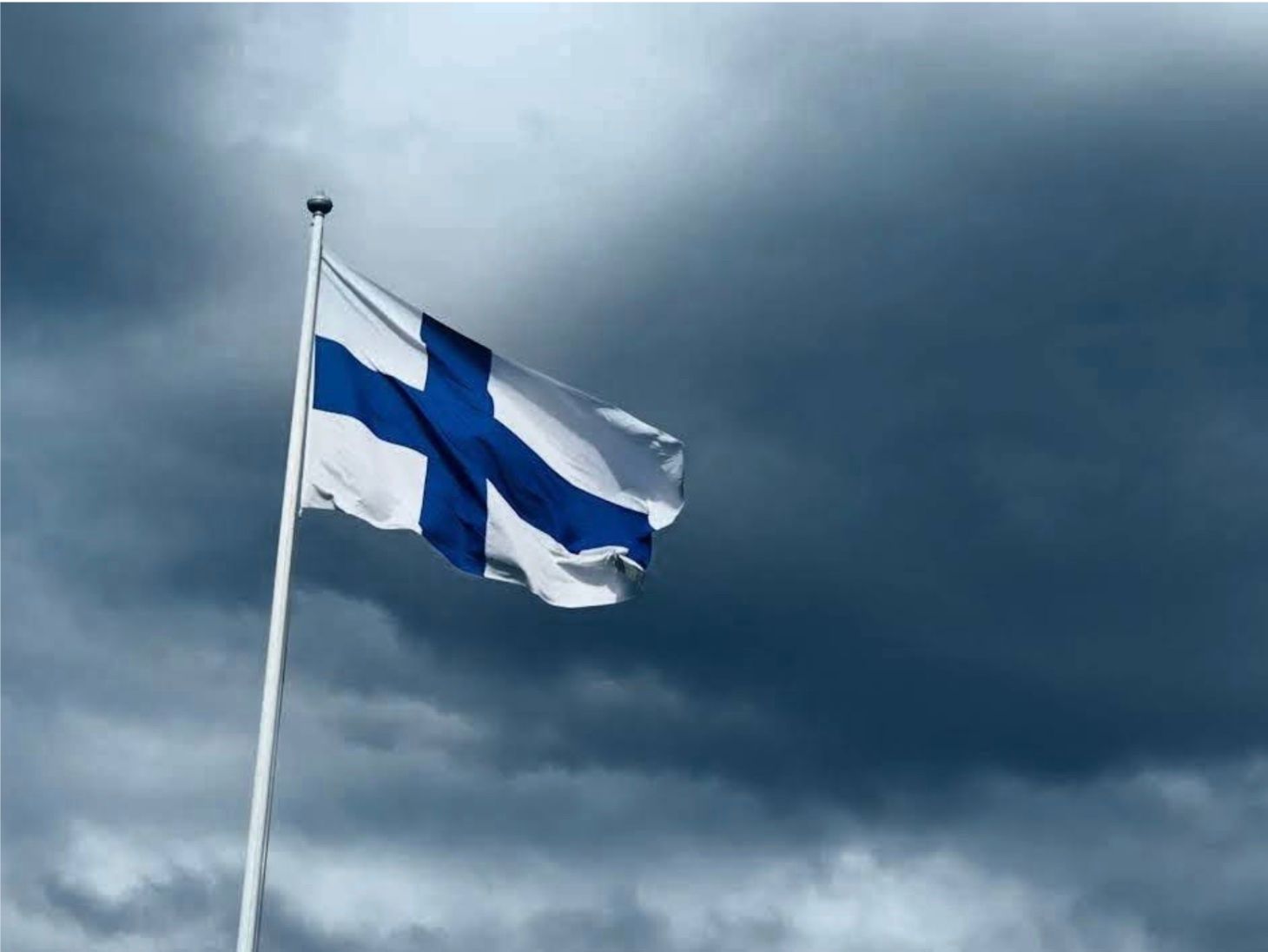 The Finnish line | Mind in Motion Online