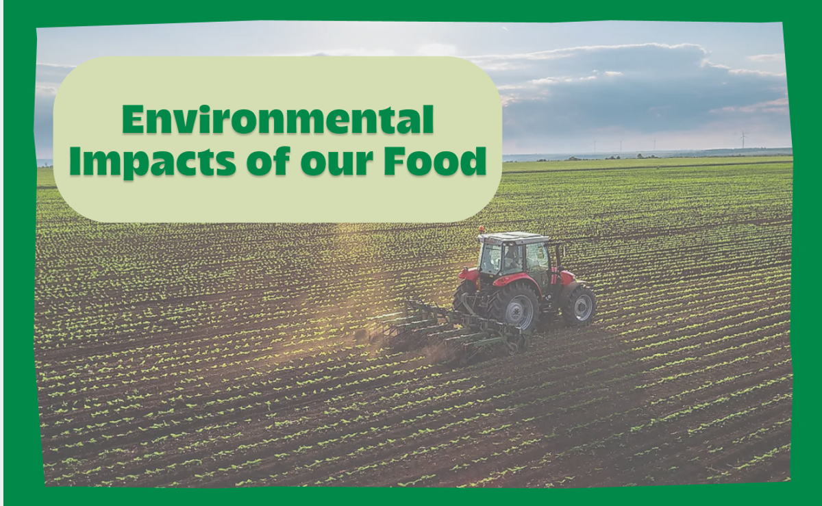 The Environmental Impact of Our Food - Trash Panda