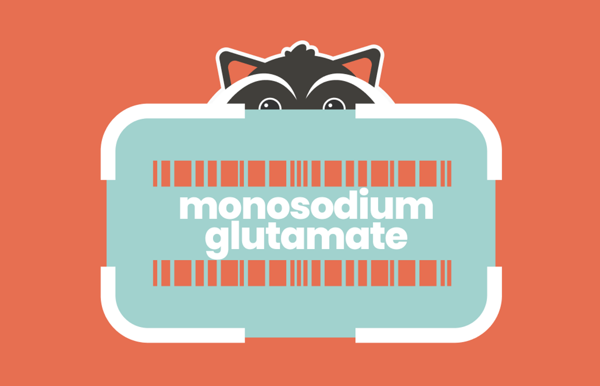 The Scoop on MSG - Trash Panda App