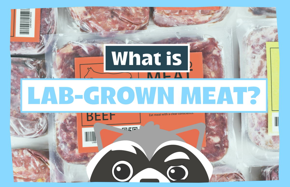 The Truth Behind Lab Grown Meat - Trash Panda App