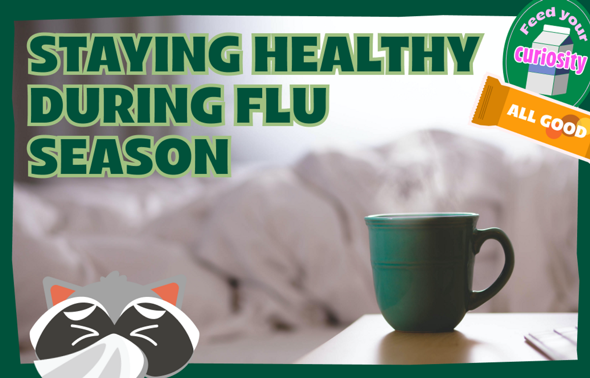 How to Stay Healthy During Flu Season - Trash Panda App