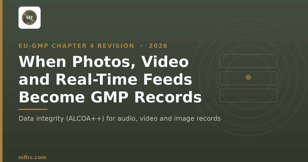 EU-GMP Chapter 4 Revision: When Photos, Video and Real-Time Feeds ...