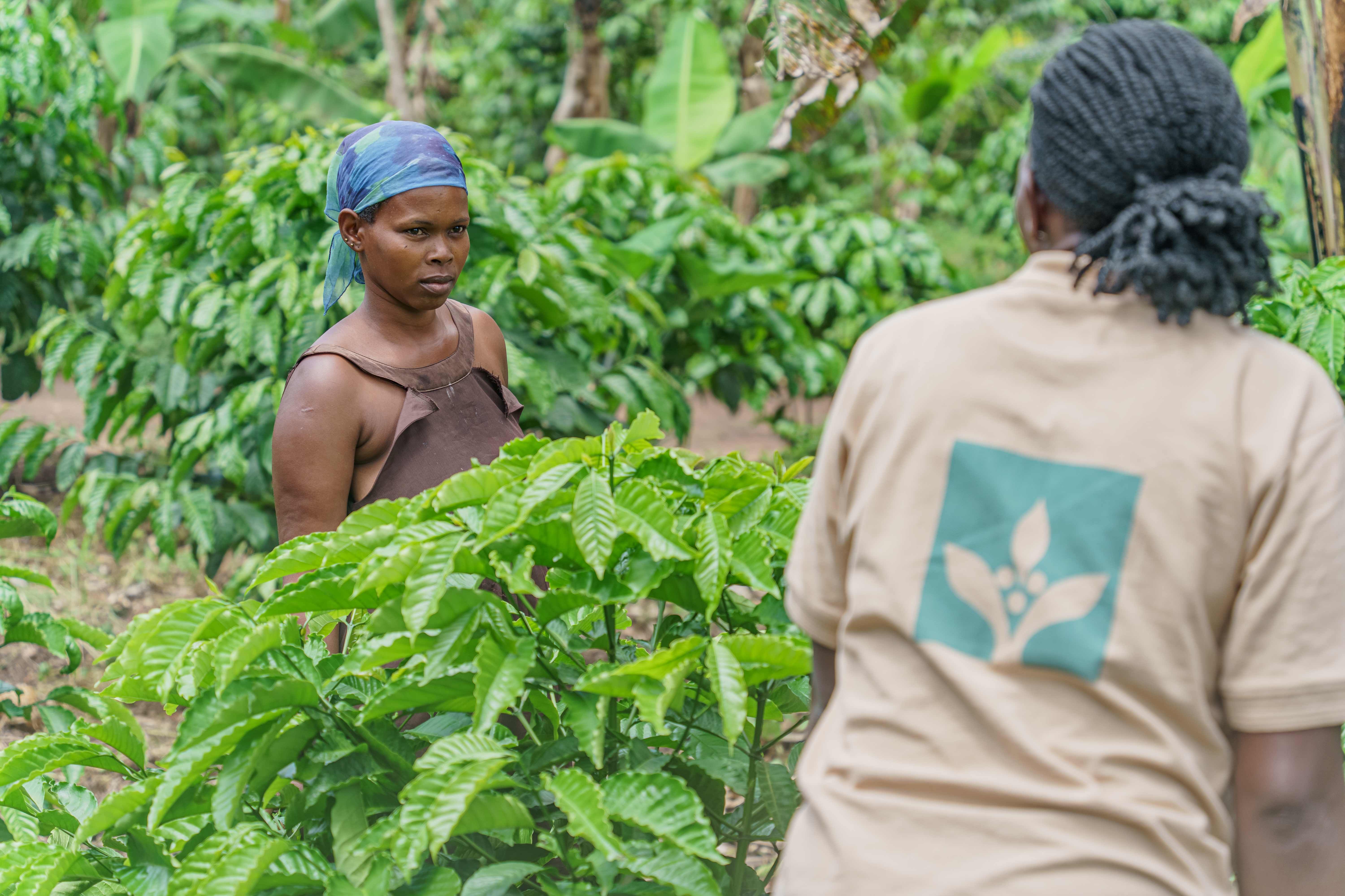 HRNS calls for stronger emphasis on localization in smallholder farmer ...