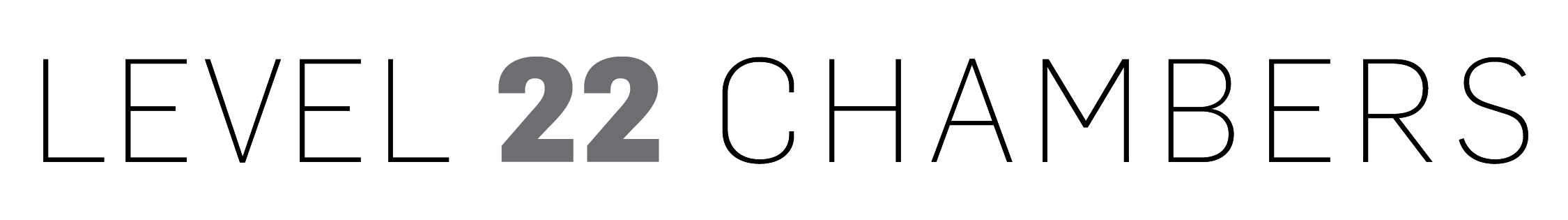 Level 22 Logo