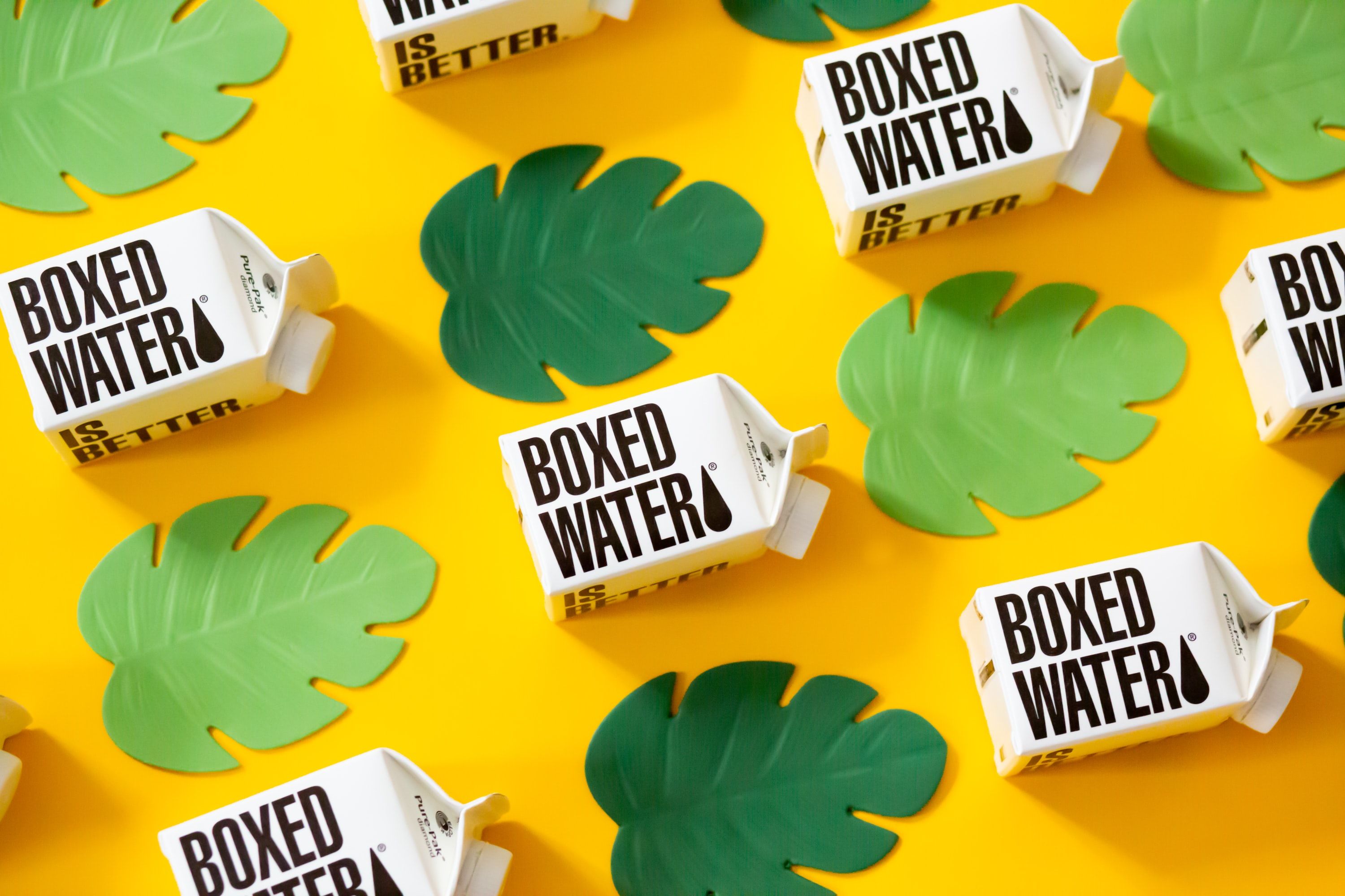 Enter the Future of Packaging | Blog