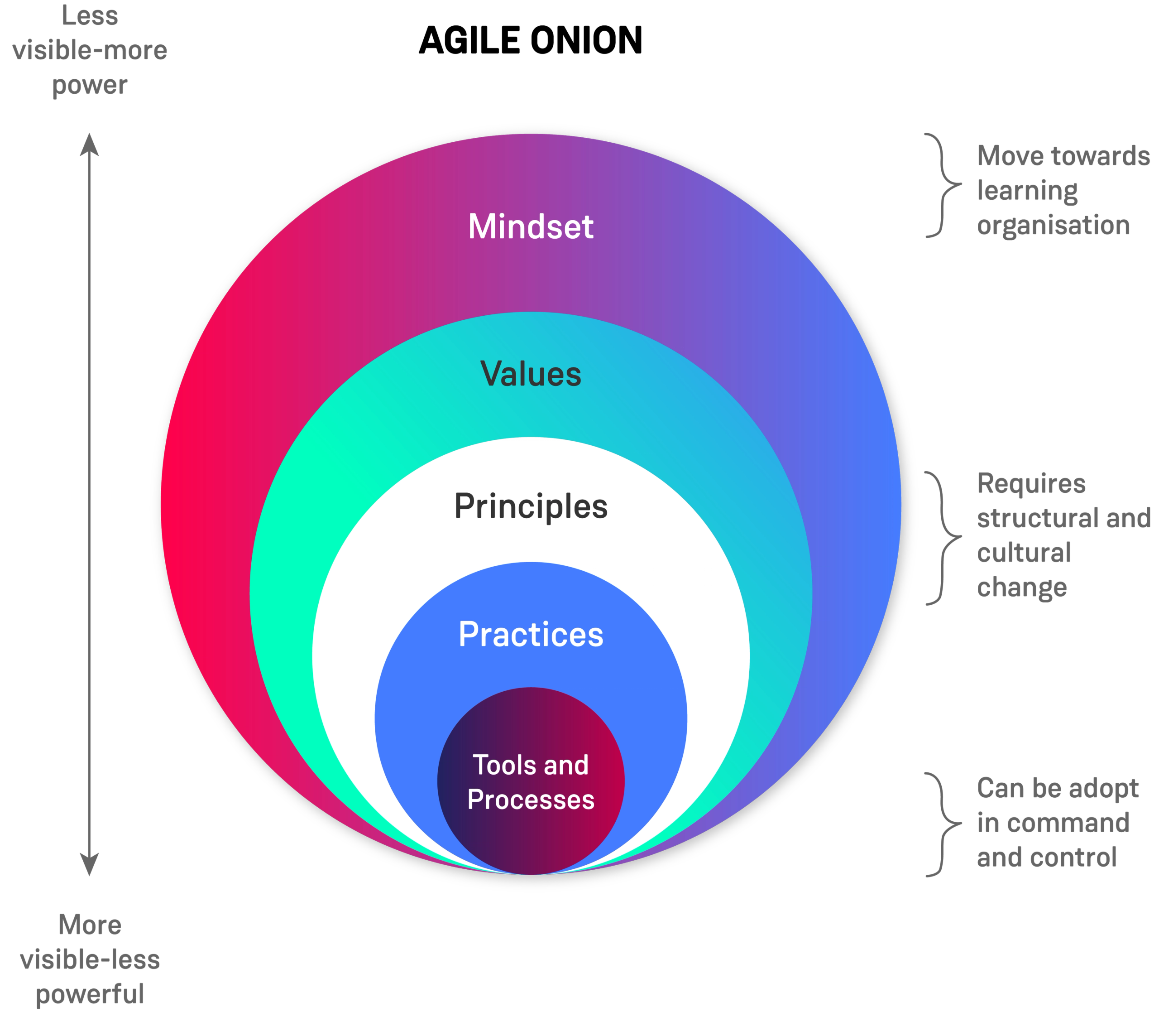 5 Essential Steps You Need to Take For a Painless Agile Maturity ...