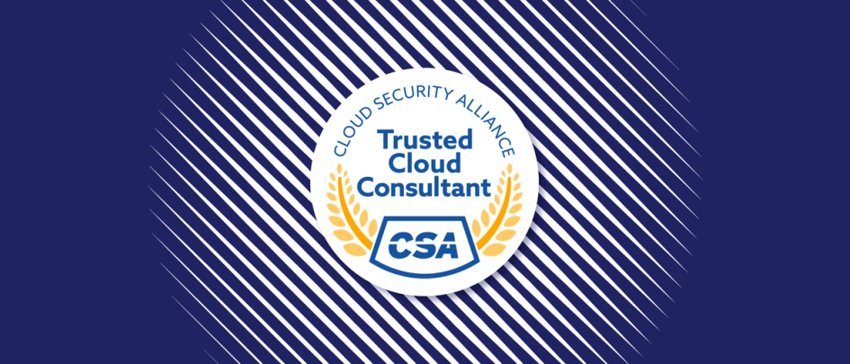 Making sense of the 8 Principles of Sustainable Software Development ...