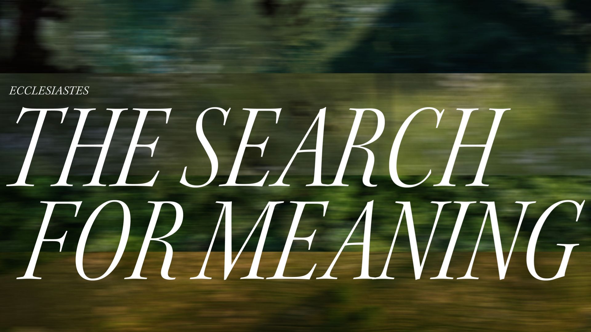 Ecclesiastes 12:1-8 - Remember Your Creator | Stonebrook Community Church