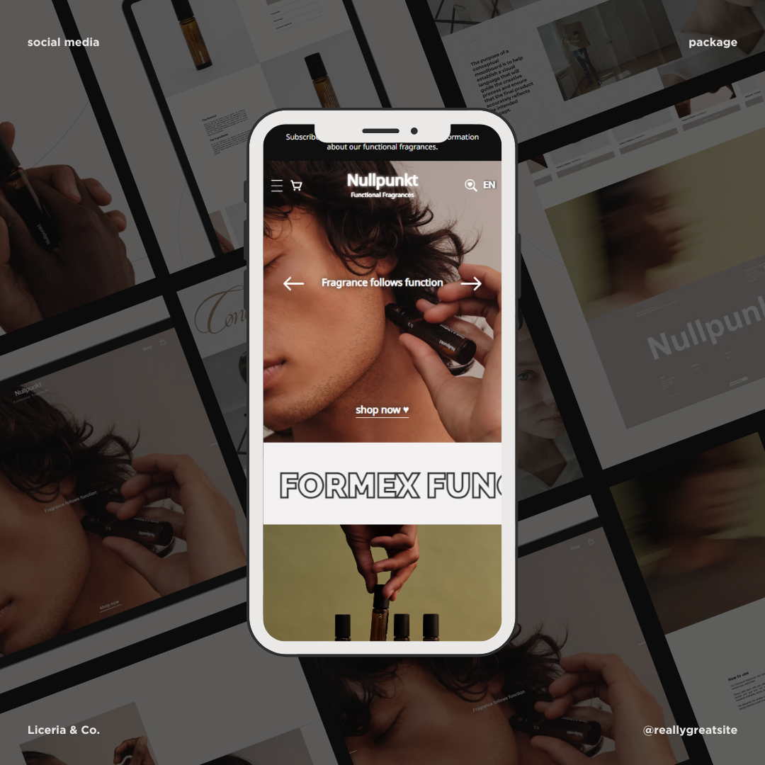 Dileesha Lakshan - Web Developer Portfolio