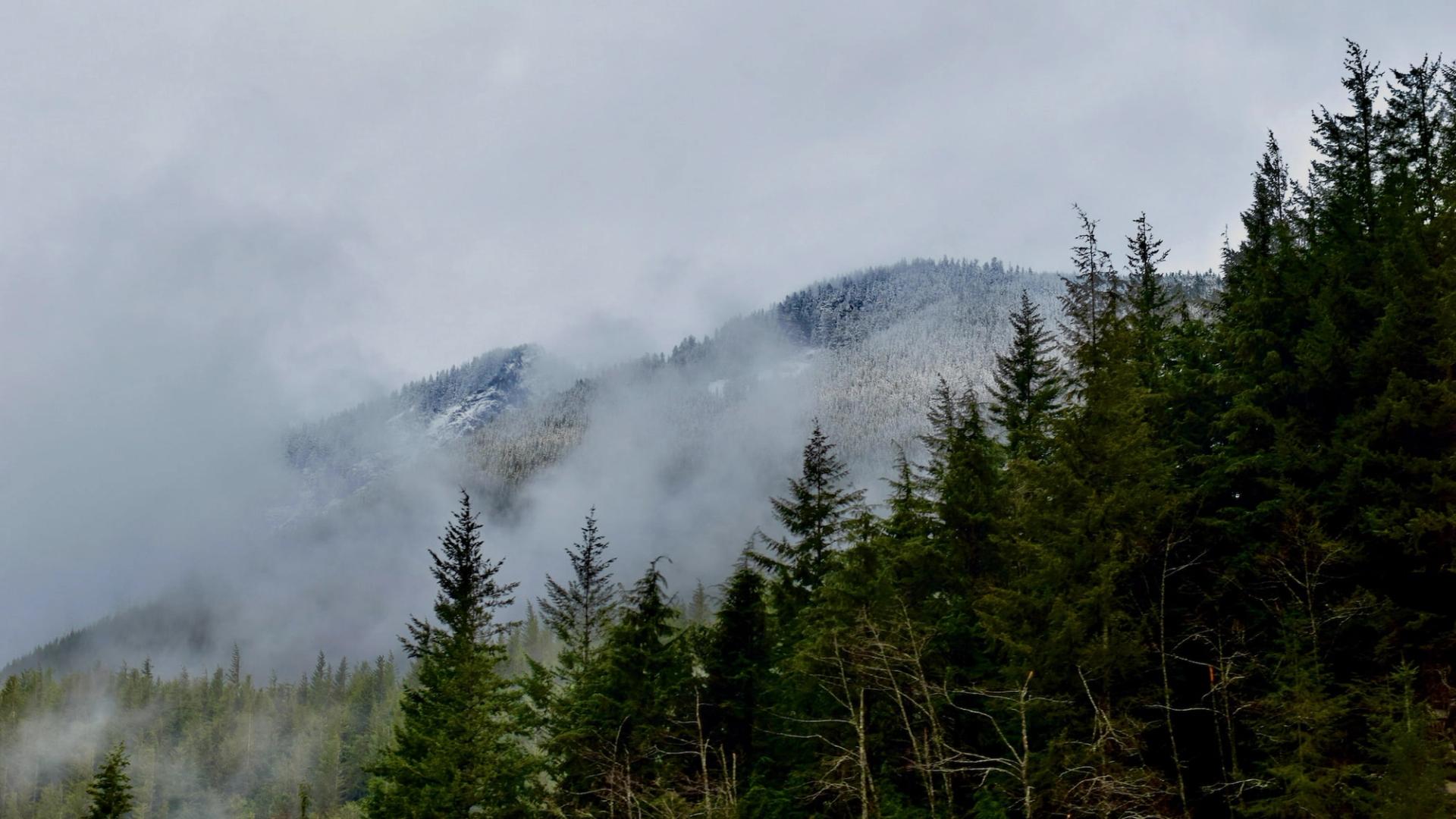 About - Bertch Capital