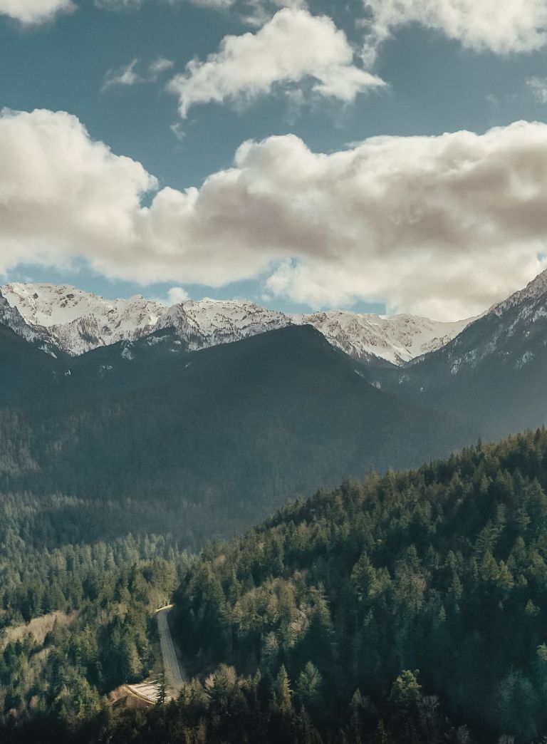 About - Bertch Capital