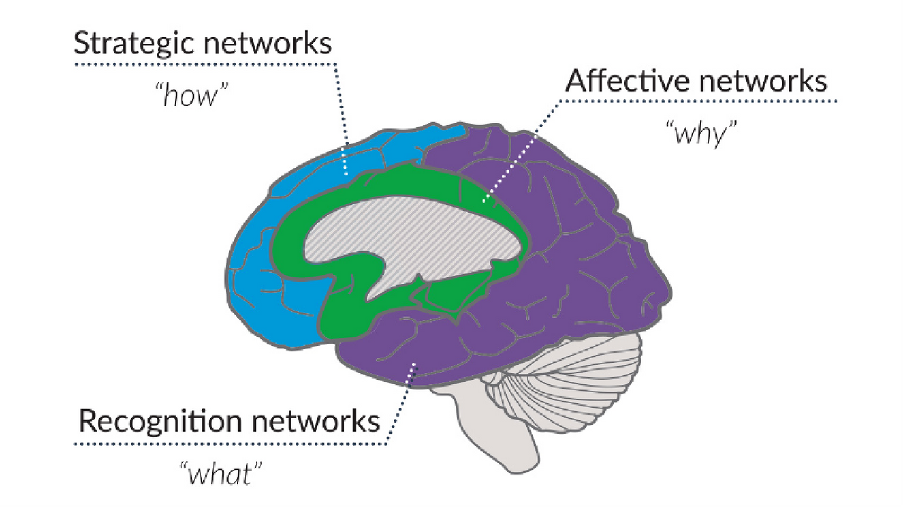 Our Brains Are Built to Learn – Module 1 - Universal Design for Learning