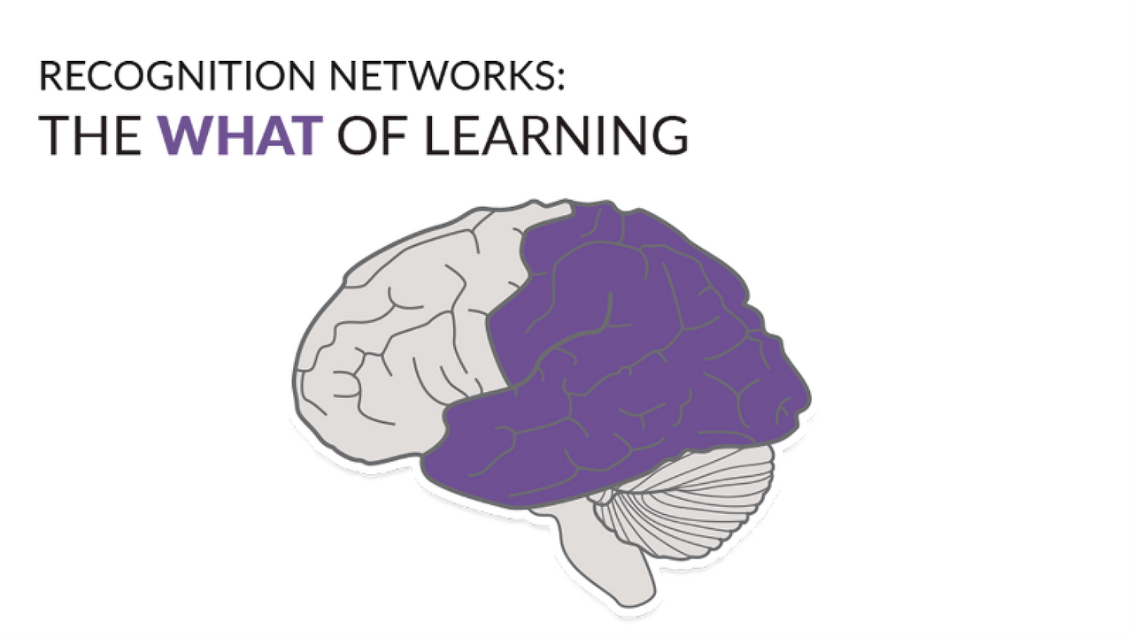 The “What” of Learning: Our Brain’s Recognition Networks – Module 3 ...