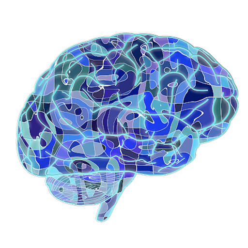 Learner Variability – Module 1 - Universal Design for Learning