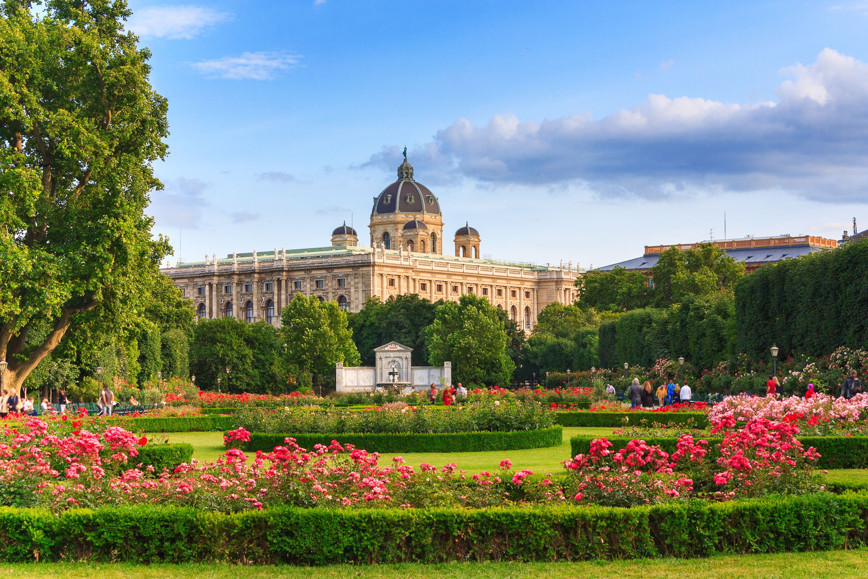 How To Do Vienna On A Budget