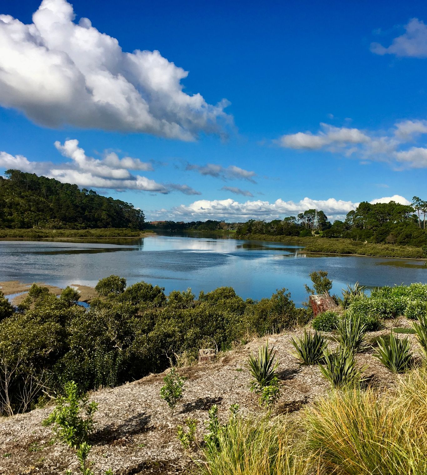 Whenuapai Village | Metlifecare