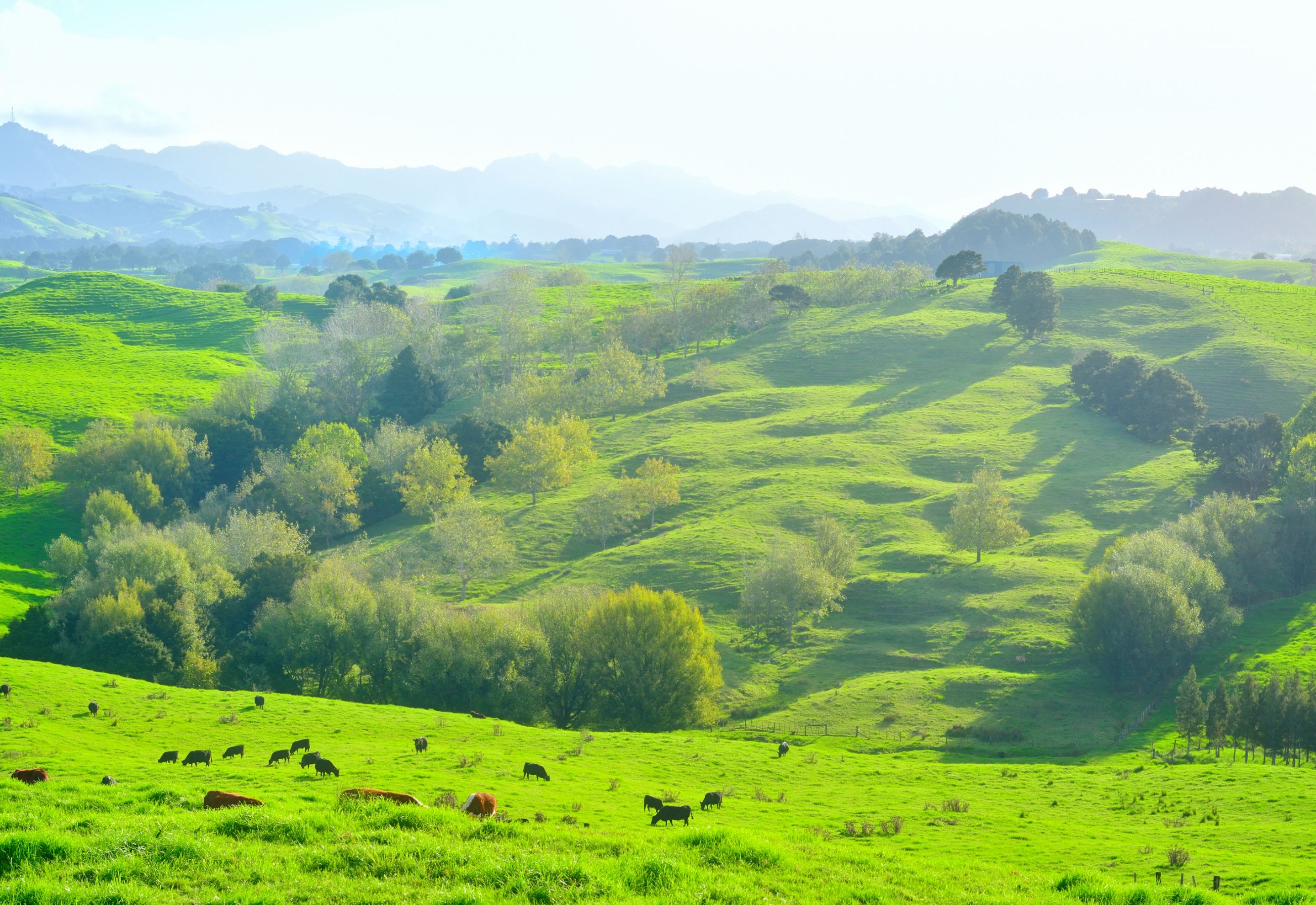East Auckland Retirement Village | Metlifecare NZ