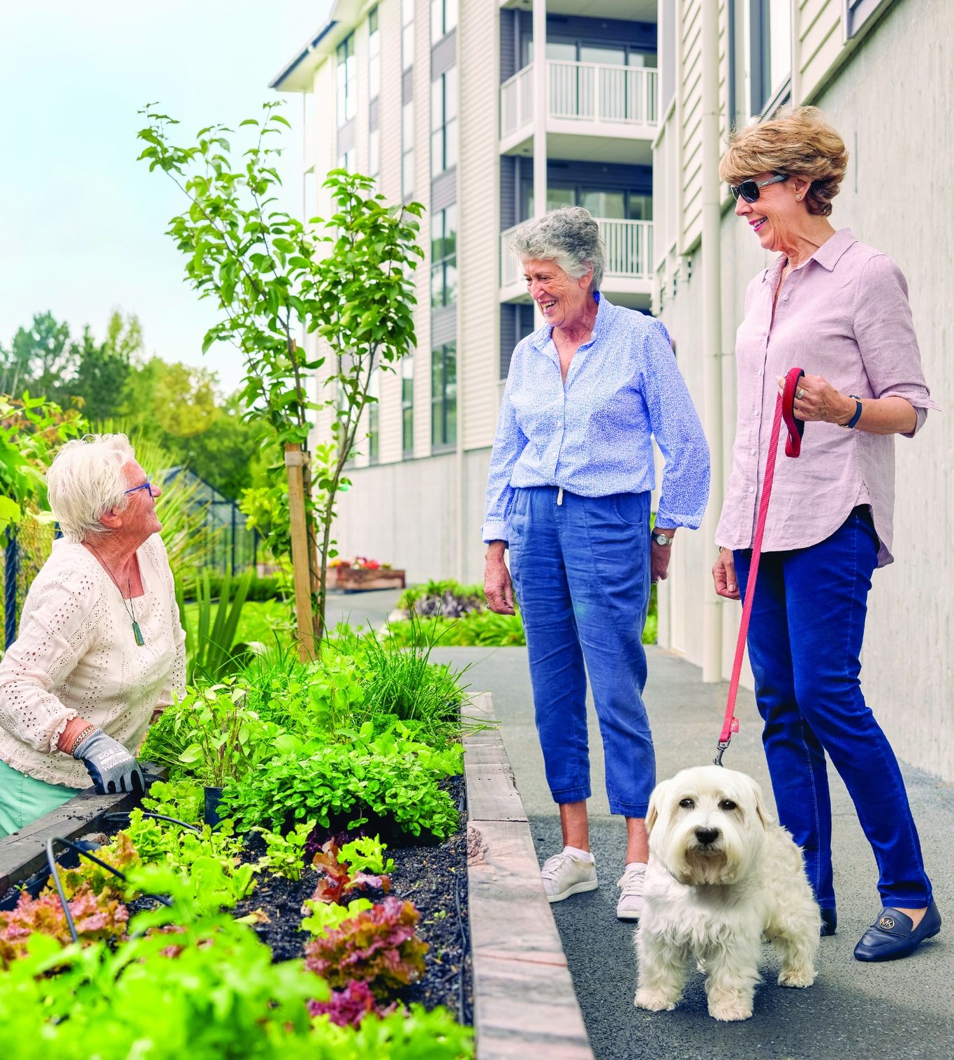 Life At Our Greenwich Village | Metlifecare