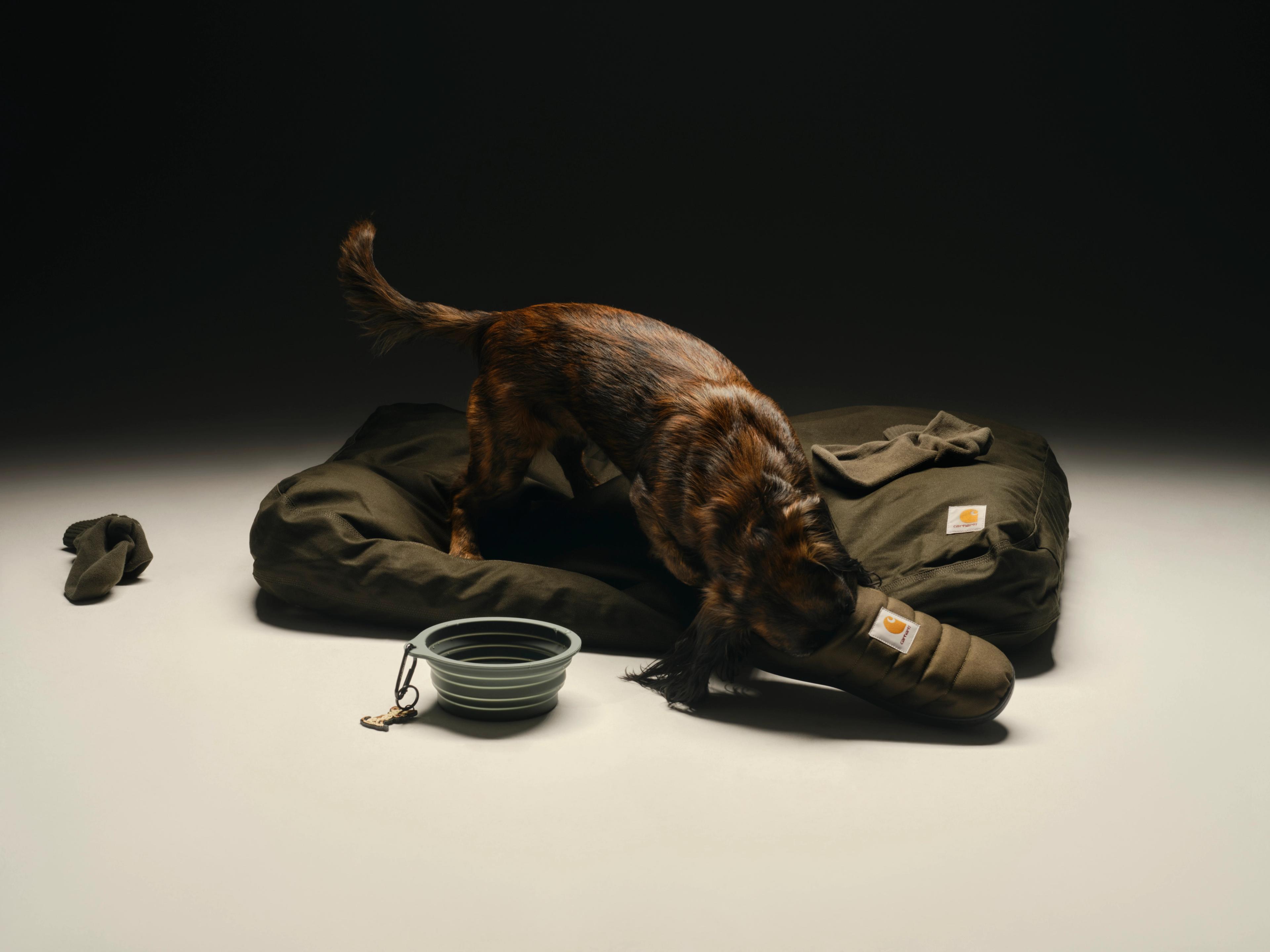 Official Carhartt WIP Store