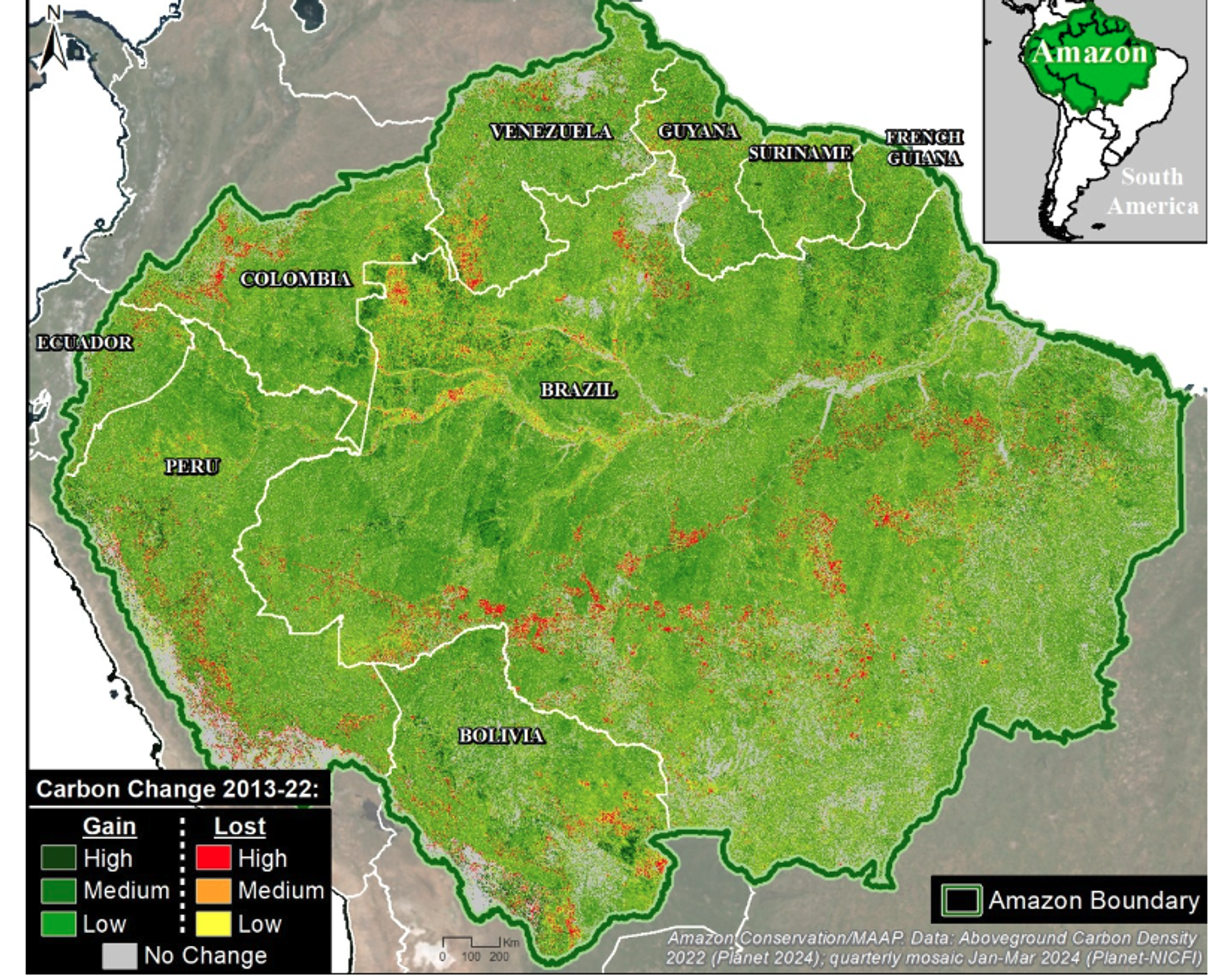 How Forest Carbon Data Helps Bridge Observation to Action