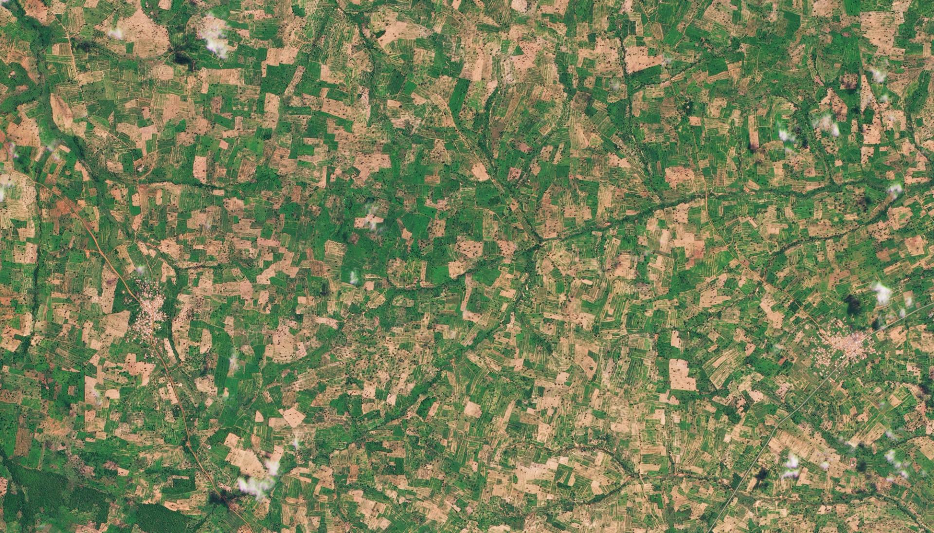 PlanetScope Data Used to Generate High Resolution, Annual Maps of Field ...