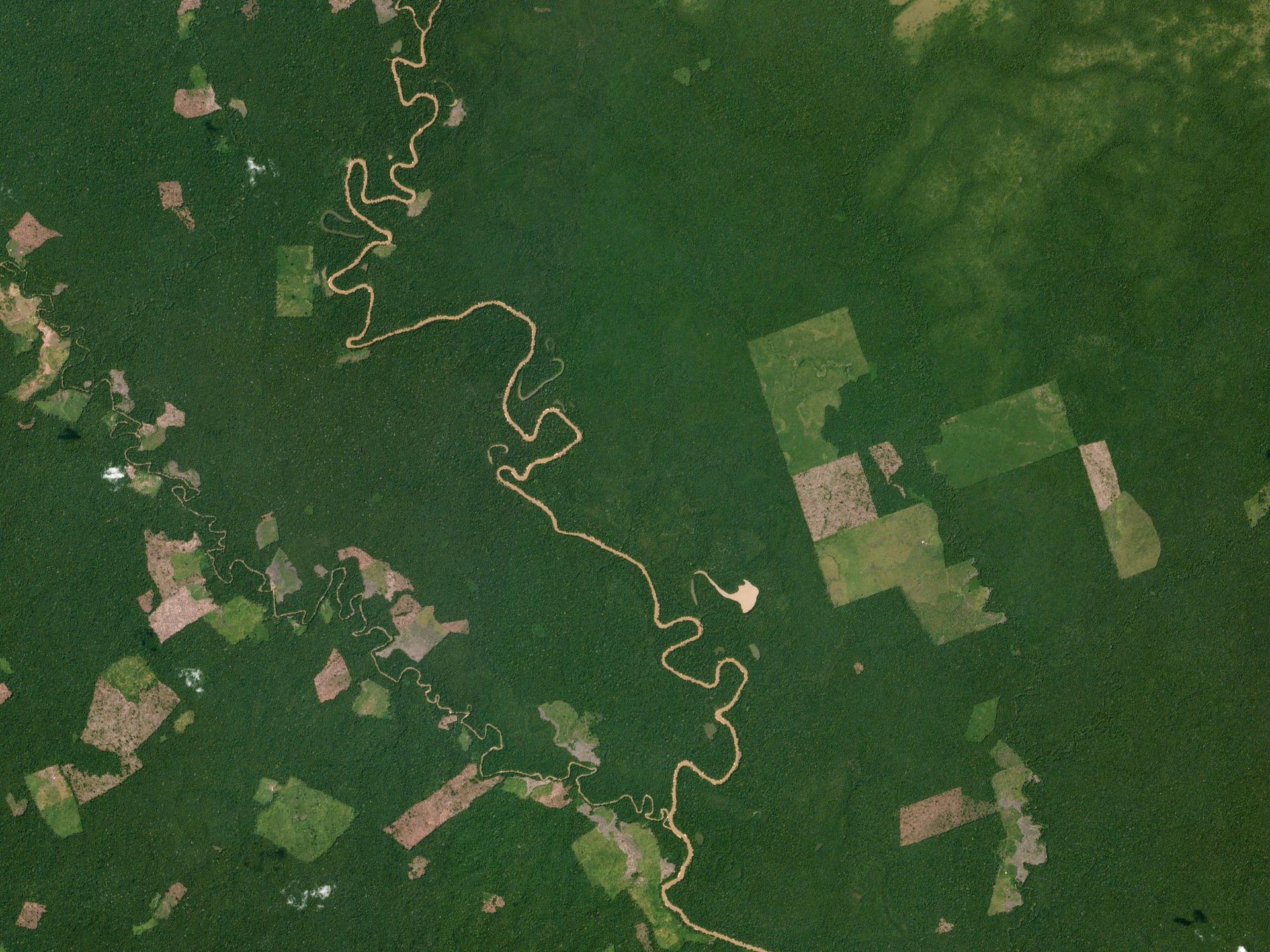 NICFI Tropical Forest Basemaps Now Available in Google Earth Engine