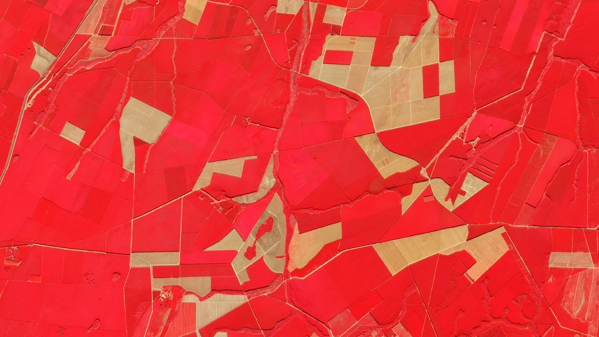 How Swift Geospatial is Creating Positive Change in Forest Management