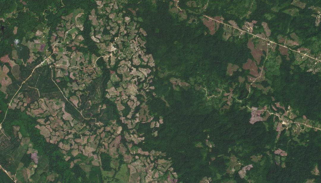 Planet Images and Artificial Intelligence Used to Detect Coca Paste ...
