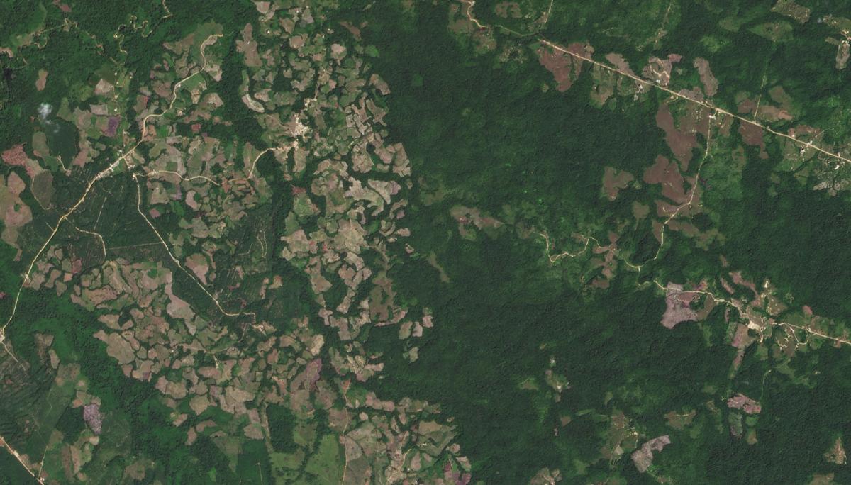 Planet Images and Artificial Intelligence Used to Detect Coca Paste ...