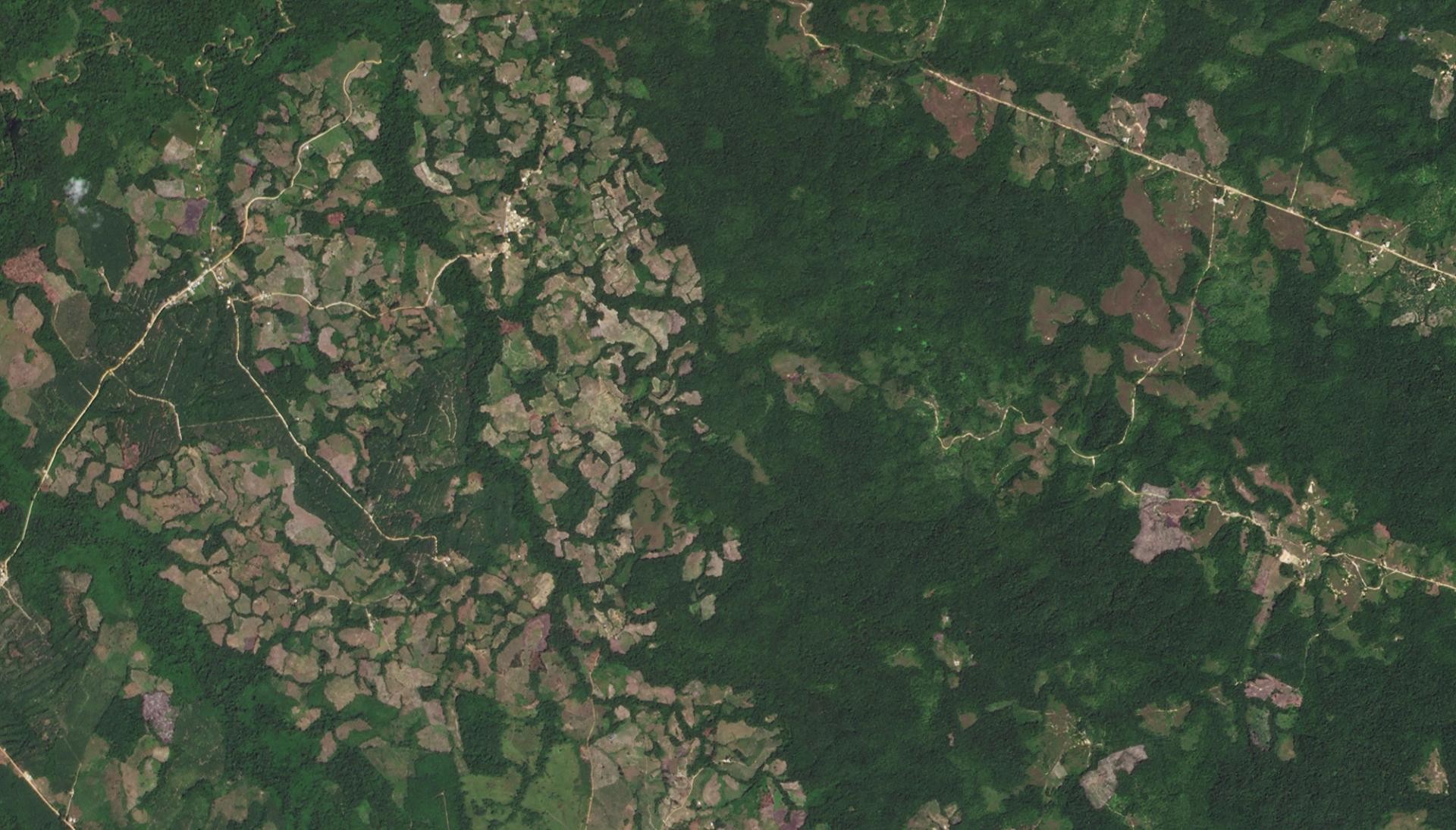 Planet Images and Artificial Intelligence Used to Detect Coca Paste ...