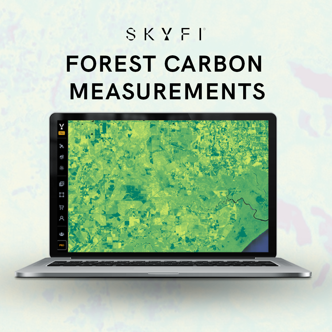 Planet Partners Leverage Forest Carbon Monitoring