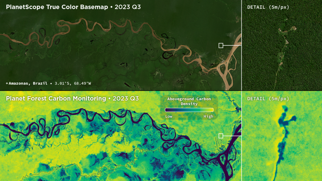 Forest Carbon Monitoring: A Dove’s-eye View of Global Forest Change